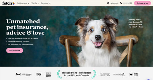 Insurance Website Design – 30 of the Best Industry Examples