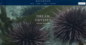 Luxury Website Design - 50 Ideas to Elevate Your Brand