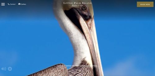 Luxury Hotel Website Design - 41 Stunning Hotel Websites