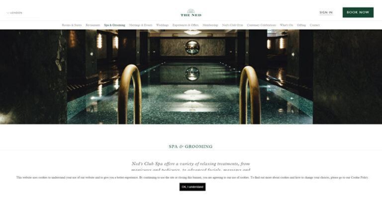Spa Website Design - 30 Best Spa Web Design Ideas in 2024