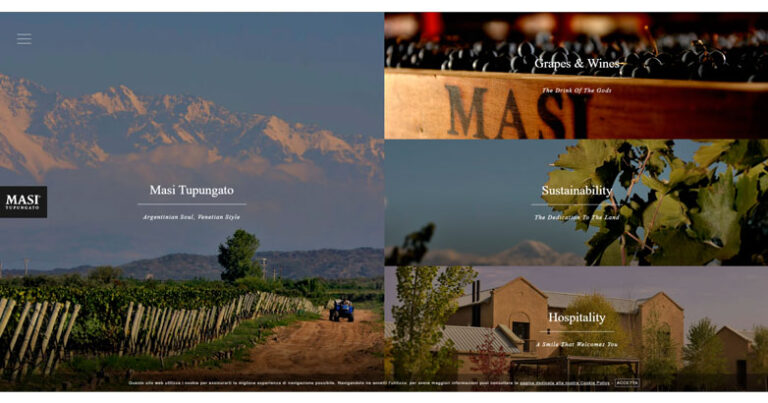 Wine Website Design - 30 Best Website Design Ideas for 2025